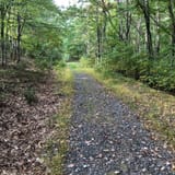Redman Run Trail, West Virginia - 101 Reviews, Map | AllTrails