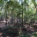 Redman Run Trail, West Virginia - 101 Reviews, Map | AllTrails