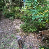Redman Run Trail, West Virginia - 101 Reviews, Map | AllTrails