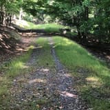 Redman Run Trail, West Virginia - 101 Reviews, Map | AllTrails