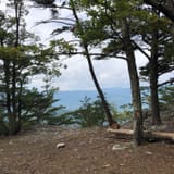 Redman Run Trail, West Virginia - 130 Reviews, Map | AllTrails