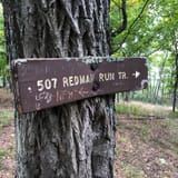 Redman Run Trail, West Virginia - 130 Reviews, Map | AllTrails