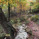 Redman Run Trail, West Virginia - 107 Reviews, Map | AllTrails