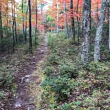 Redman Run Trail, West Virginia - 107 Reviews, Map | AllTrails