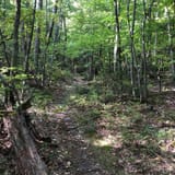 Redman Run Trail, West Virginia - 107 Reviews, Map | AllTrails