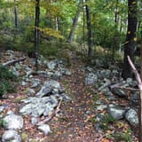 Redman Run Trail, West Virginia - 107 Reviews, Map | AllTrails