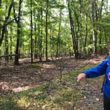 Redman Run Trail, West Virginia - 100 Reviews, Map | AllTrails