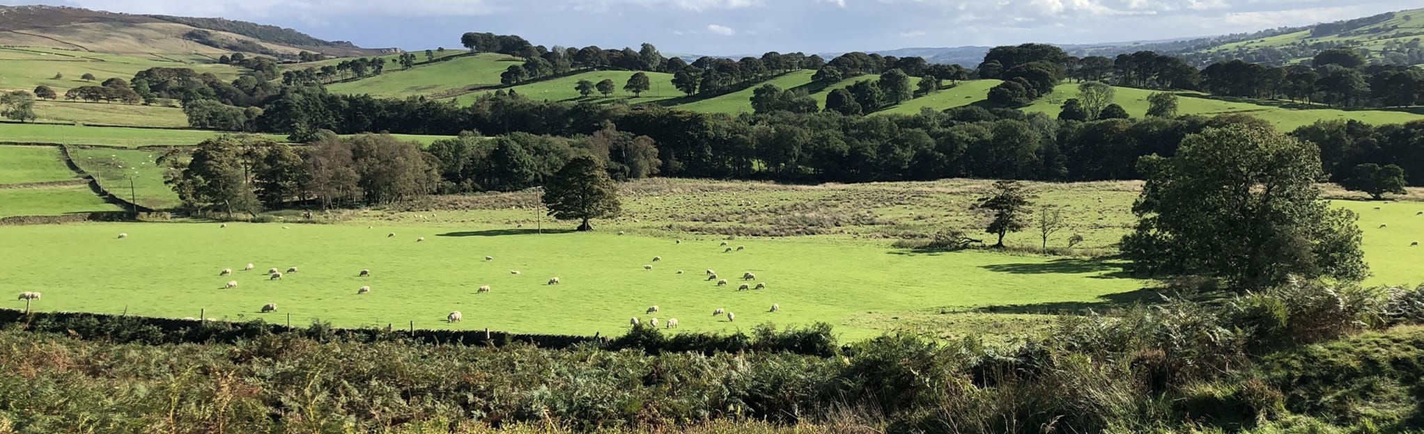 Hen Cloud, The Roaches, and Lud's Church Circular, Staffordshire ...
