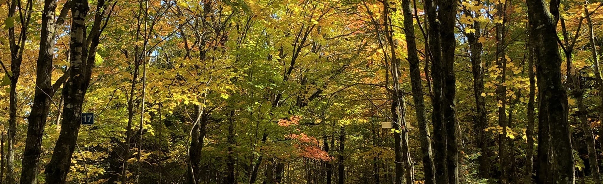 Raven Trail (17): 25 Reviews, Map - Quebec, Canada | AllTrails