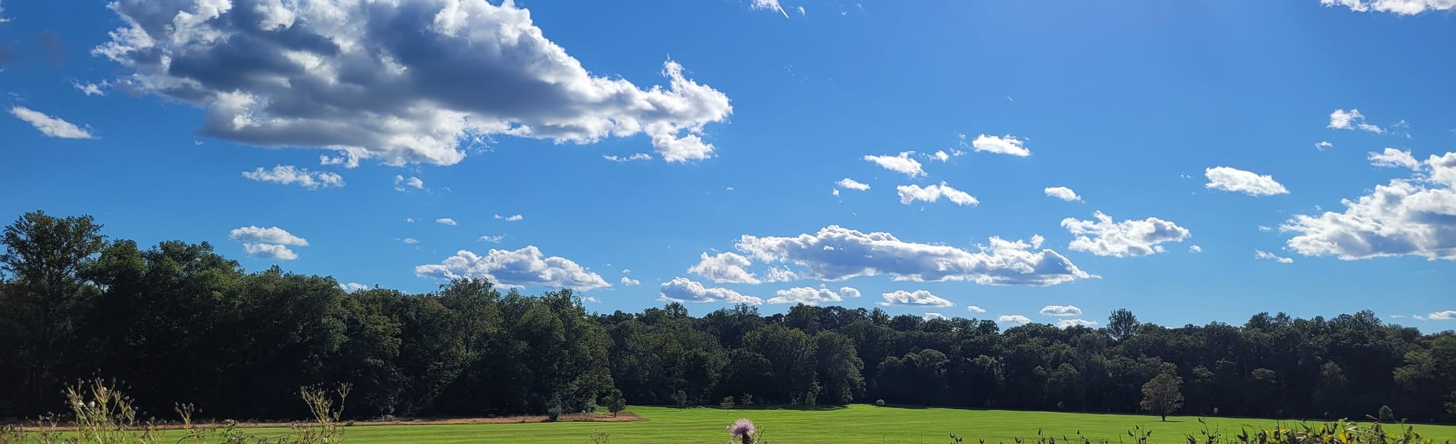 Natirar Park Trail, New Jersey - 605 Reviews, Map | AllTrails