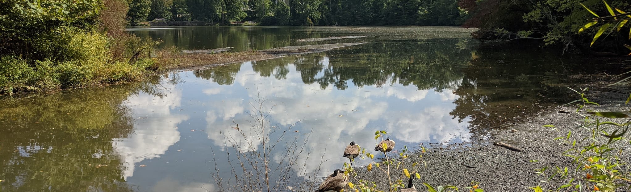 Bicentennial-Bog Gardens: 380 Reviews, Map - North Carolina | AllTrails