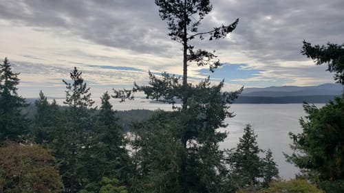 Best Hikes and Trails in Matthews Point Regional Park | AllTrails