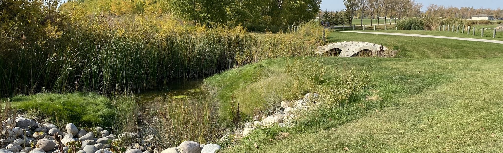 Bush Farm Trail, Manitoba, Canada - 101 Reviews, Map | AllTrails