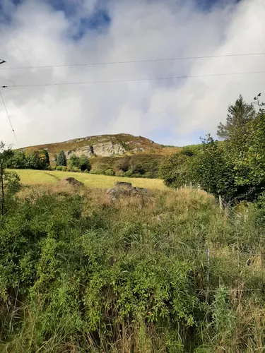 10 Best Trails, Walks, and Paths in Dunkeld | AllTrails