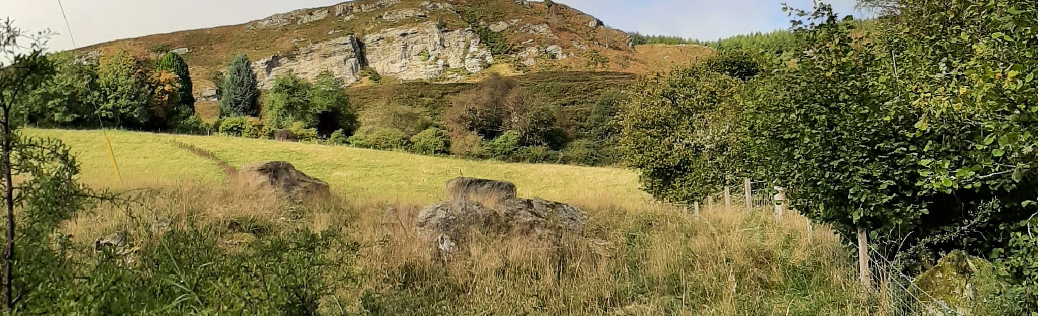 Rumbling Bridge and Falls of the Braan: 55 Reviews, Map - Perth and ...