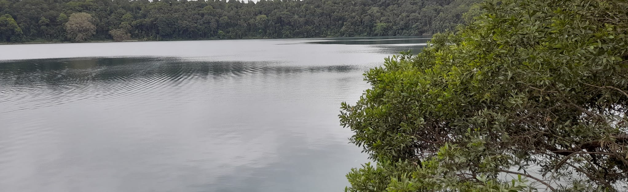 Lake Eacham Circuit Track, Queensland, Australia - 91 Reviews, Map ...