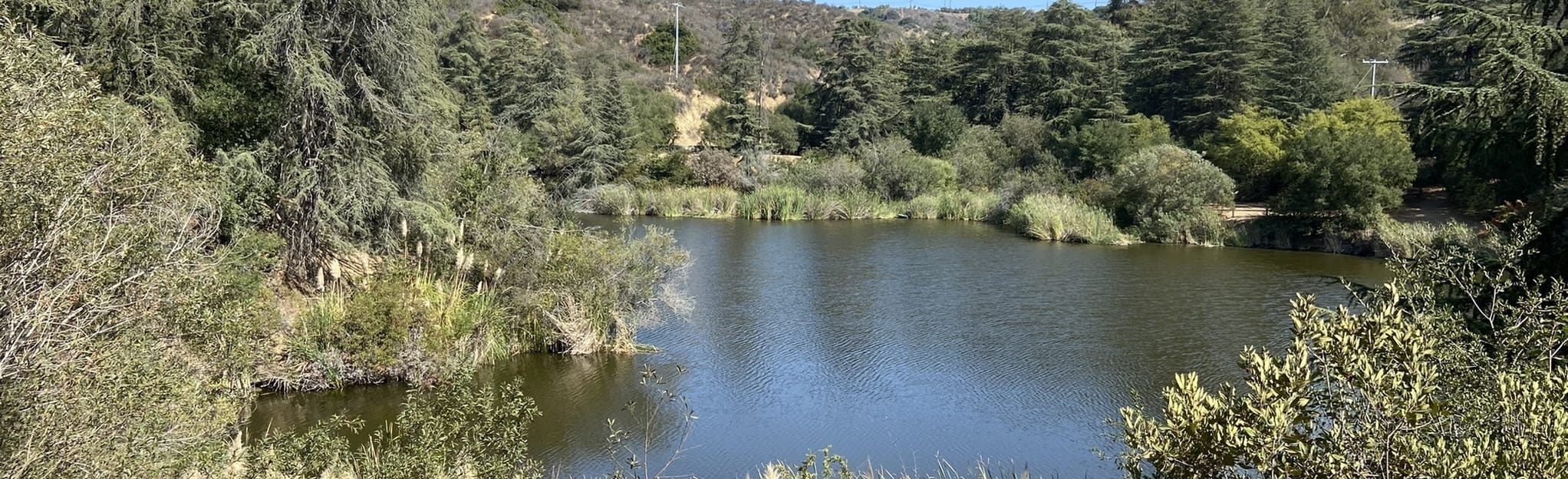 Ranch Trail, California - 382 Reviews, Map | AllTrails