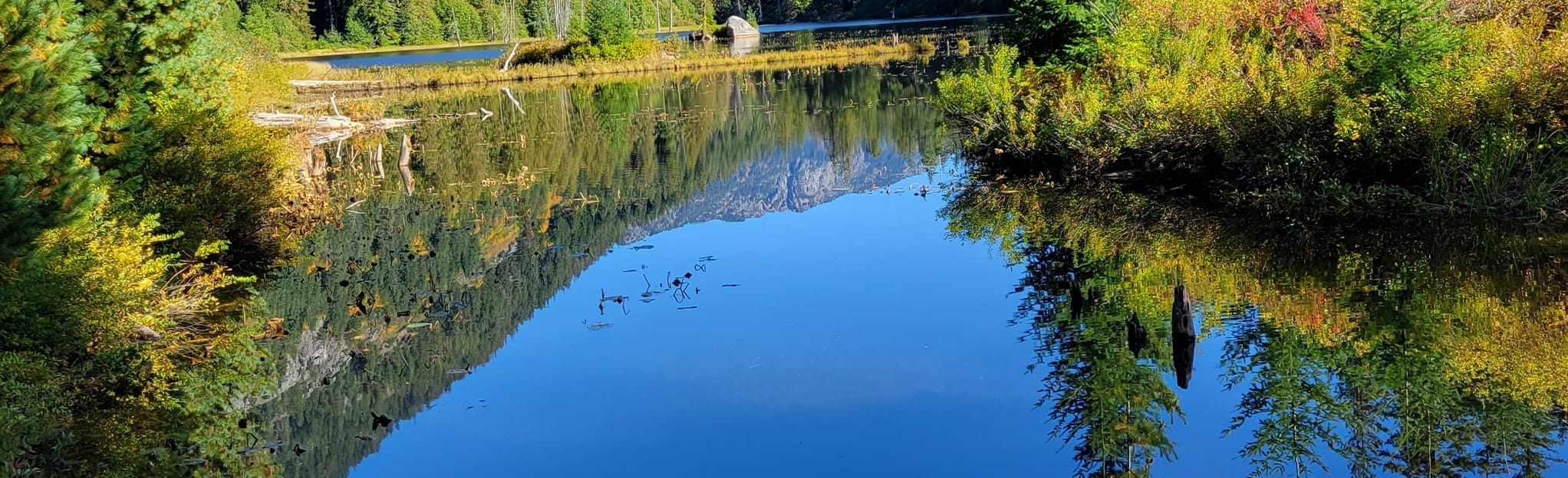 Howard Lake via PCT, Washington - 29 Reviews, Map | AllTrails