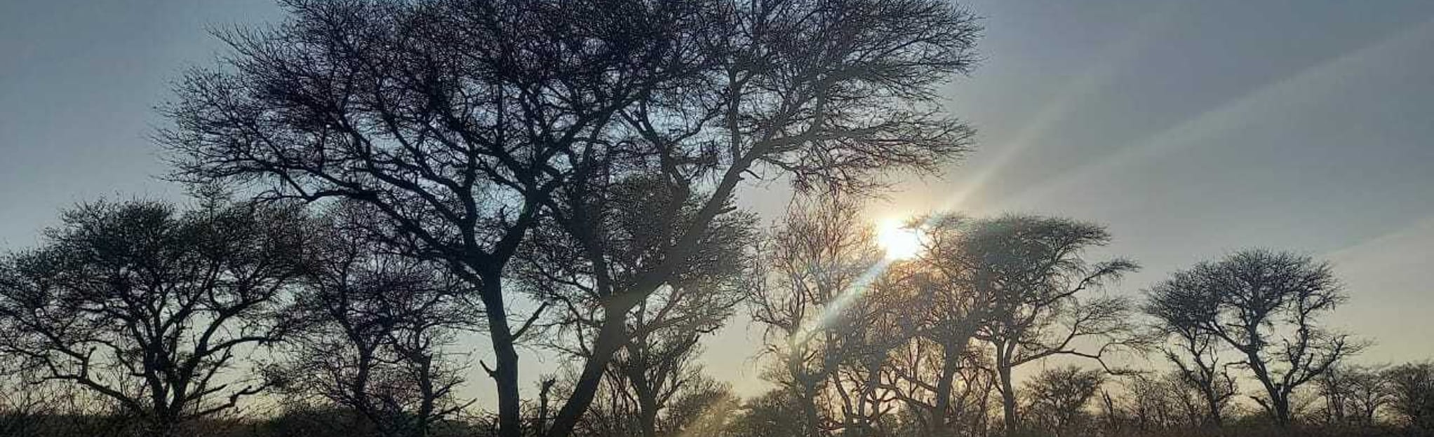 Leeupoort Hiking Trail, Limpopo, South Africa - 4 Reviews, Map | AllTrails