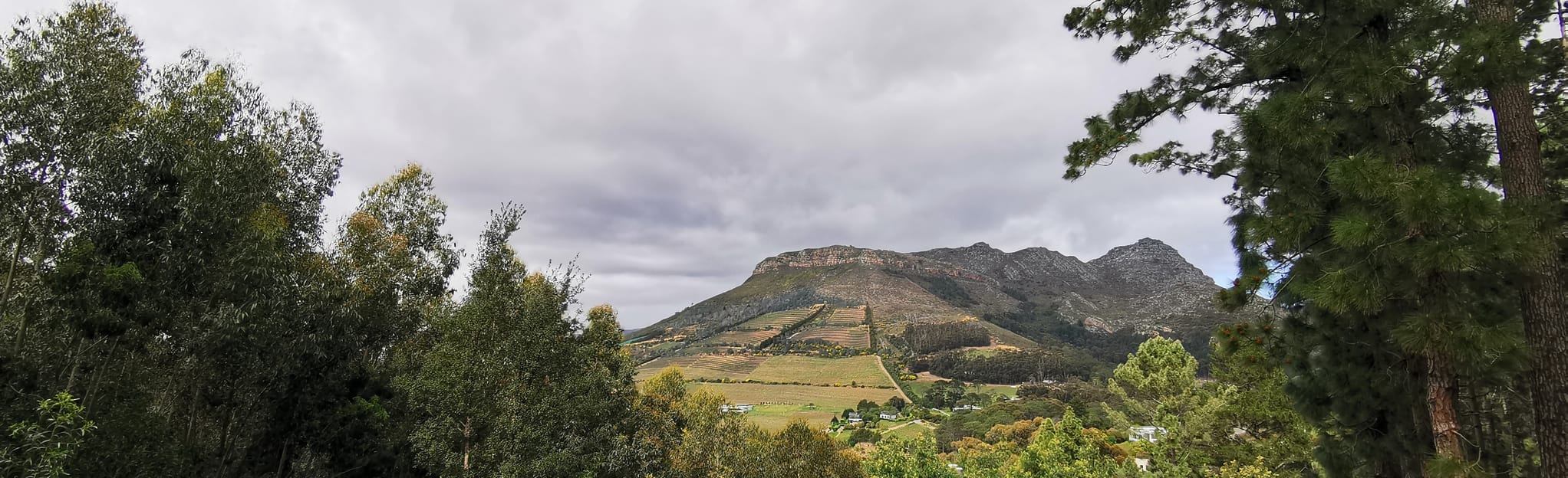 Constantia Nek to Cecilia Forest via Contour Path: 267 Zdjęcia ...