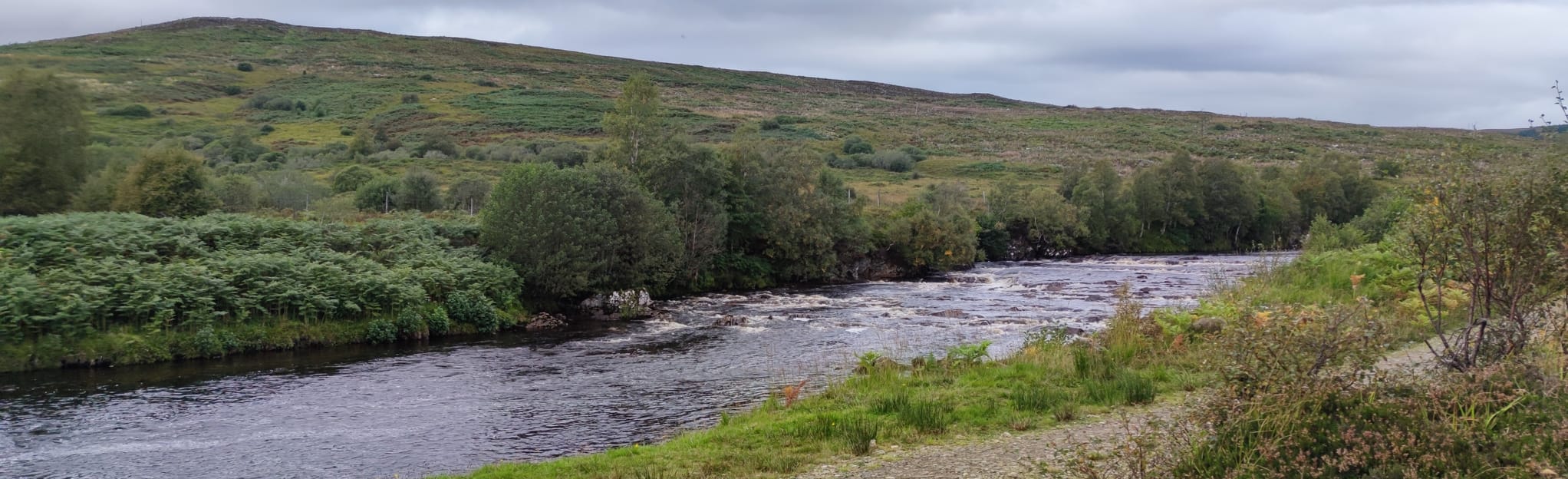 Loch Ailsh Circular, Highlands, Scotland - 2 Reviews, Map | AllTrails