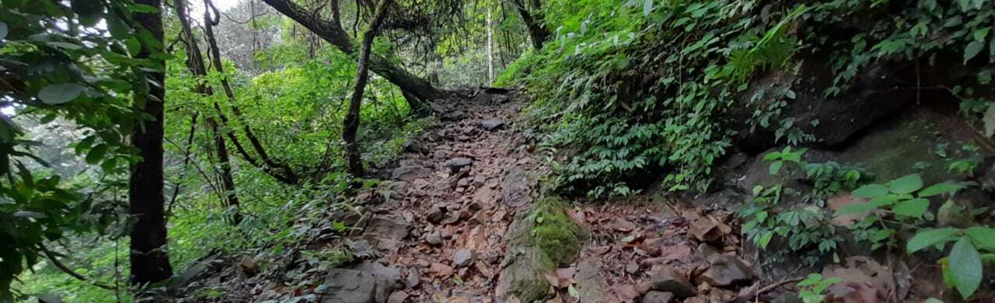 Paithalmala Trek: 1 Reviews, Map - Kerala, India | AllTrails