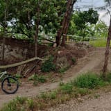 Virginia Key Trail, Florida - 1,380 Reviews, Map | AllTrails