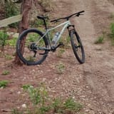 Virginia Key Trail, Florida - 1,380 Reviews, Map | AllTrails