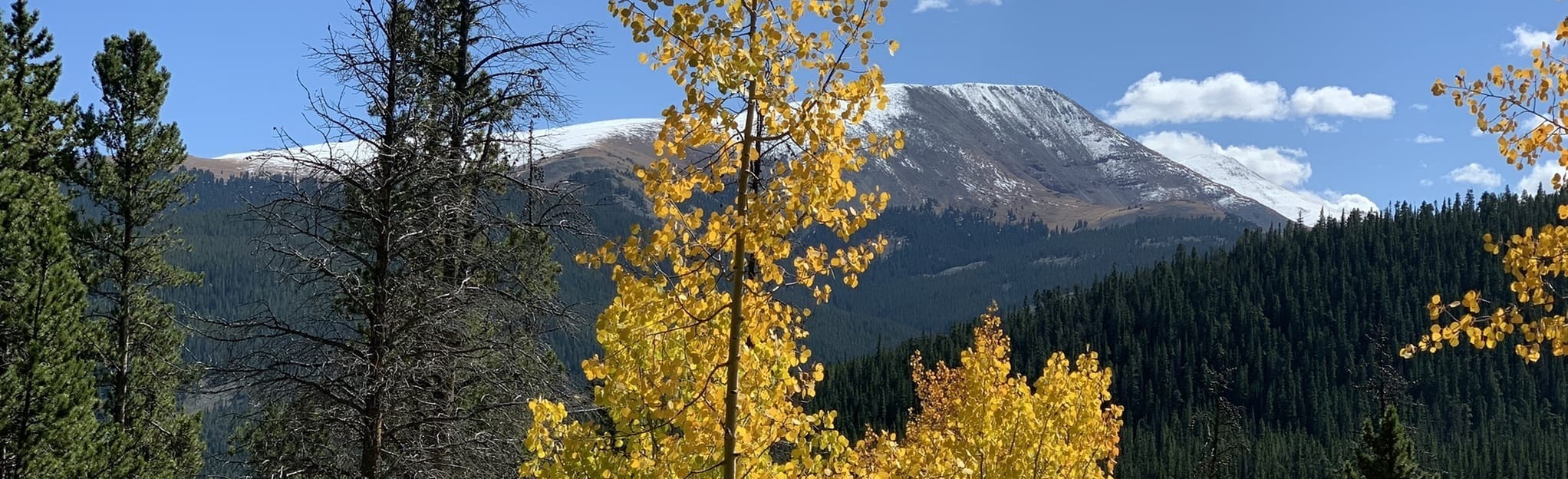 Francie's Cabin via Burro Trail - Colorado | AllTrails