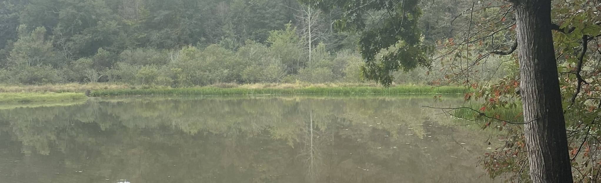 Fox Trails and Marlow Lake, Georgia - 117 Reviews, Map | AllTrails