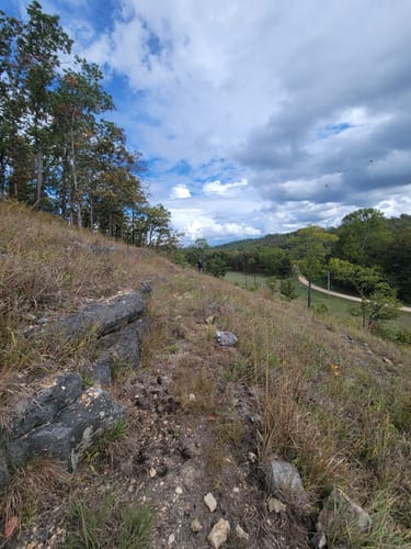 Peck Ranch Conservation Area: Die besten Routen in 2023 | AllTrails