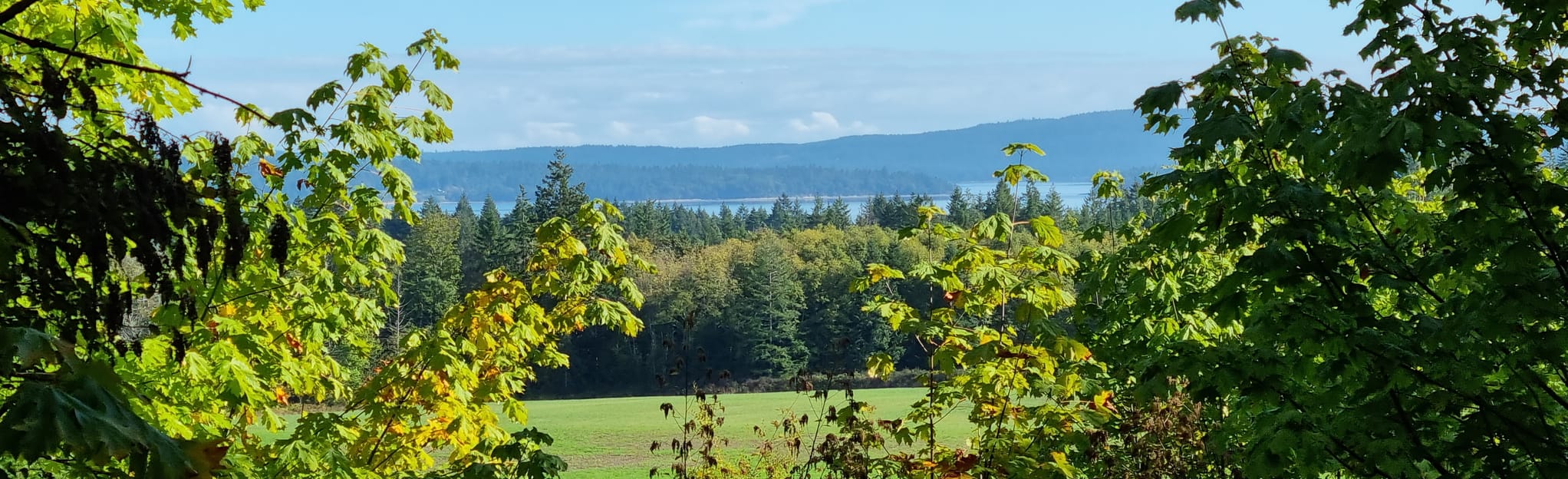 Fuller Lake Arena Grounds: 119 Reviews, Map - British Columbia, Canada ...