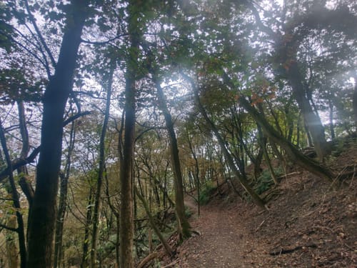 Best Hikes and Trails in Emerald View Park | AllTrails