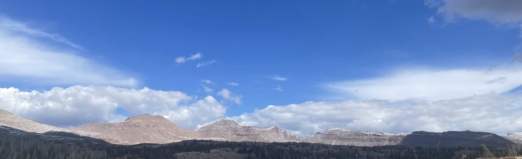 Spider Lake Trail: 63 foto's - Utah | AllTrails