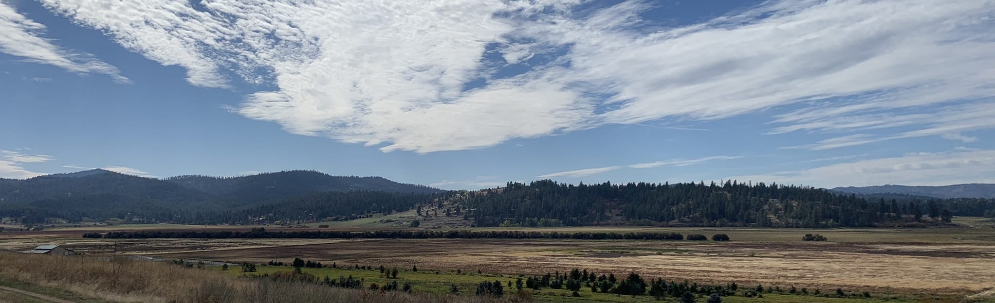 Saltese Uplands Trail: 530 Reviews, Map - Washington | AllTrails