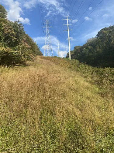 10 Best Trail Running Trails in Loch Raven Reservoir | AllTrails