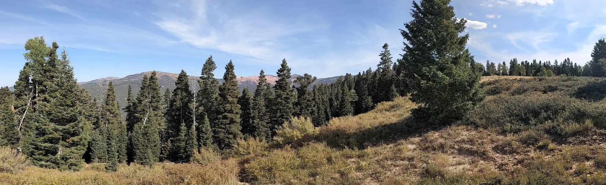Crystal Springs Loop, Utah - 102 Reviews, Map | AllTrails