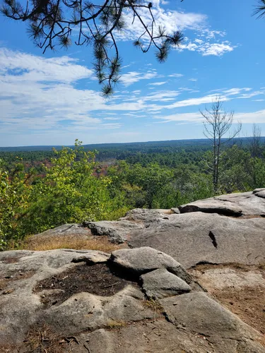 Best Long Trails in Pachaug State Forest | AllTrails