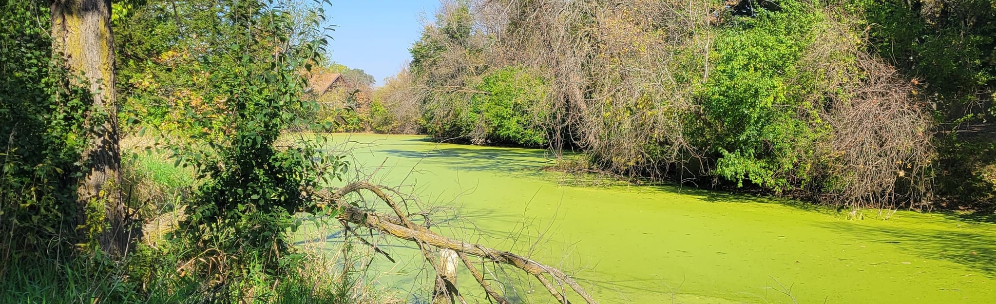 Great Bear Valley Trail | Map, Guide - South Dakota | AllTrails
