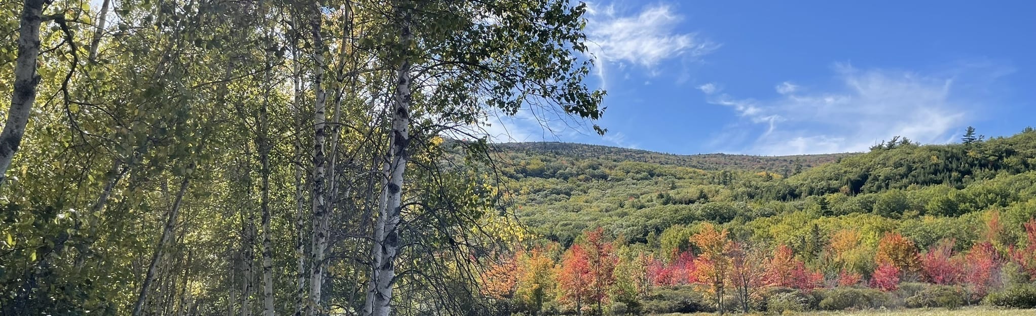 Dorr Mountain North Ridge Trail to Gorge Path Loop | Map, Guide - Maine ...