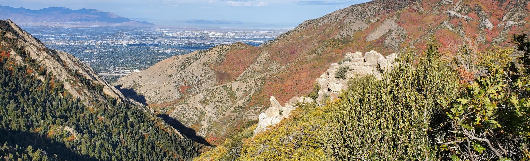 Thayne Canyon and Desolation Trail Loop, Utah - 439 Reviews, Map ...