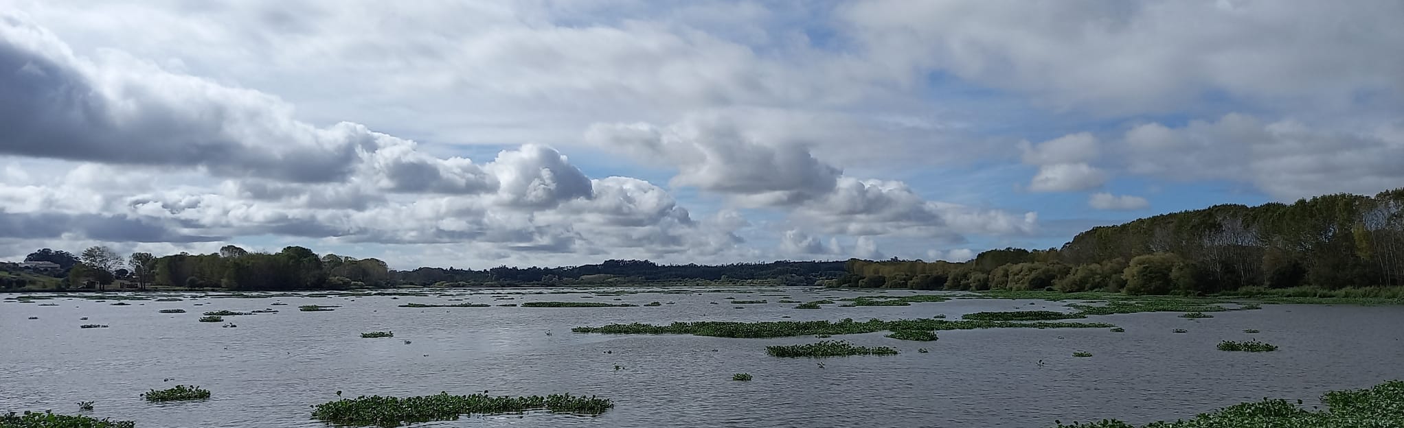 PR9 AGD – Trilho do Rio Águeda: 23 fotos - Aveiro, Portugal | AllTrails