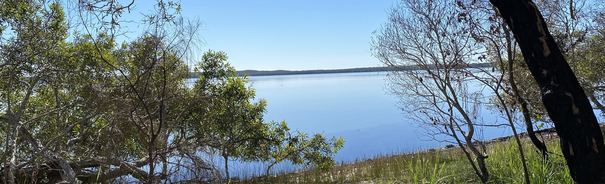 Lake Weyba Forest Loop: 34 foto - Queensland, Australia | AllTrails