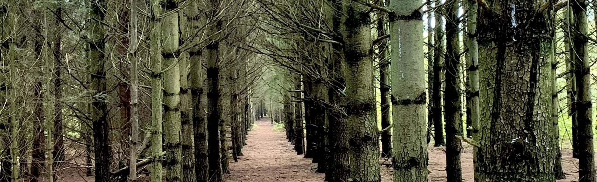 Bannister Lake Conservation Trail, Ontario, Canada - 23 Reviews, Map ...