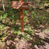 Allegheny Front Trail, Pennsylvania - 195 Reviews, Map | AllTrails
