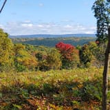 Allegheny Front Trail, Pennsylvania - 219 Reviews, Map | AllTrails