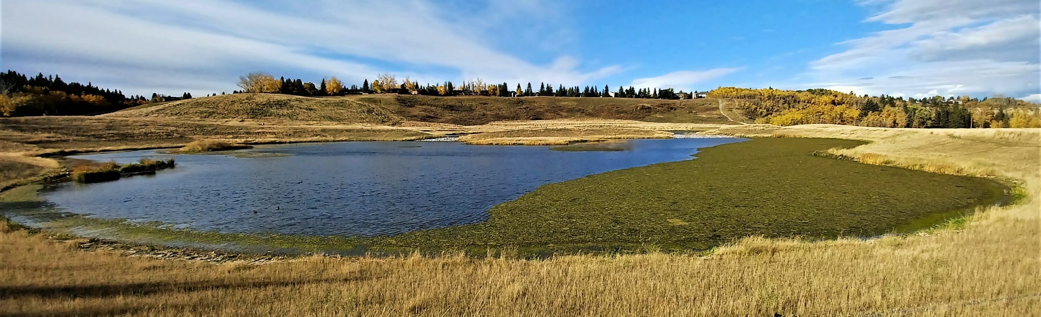 Bebo Grove Stormwater Pond Loop via Marshall Springs: 176 Reviews, Map ...