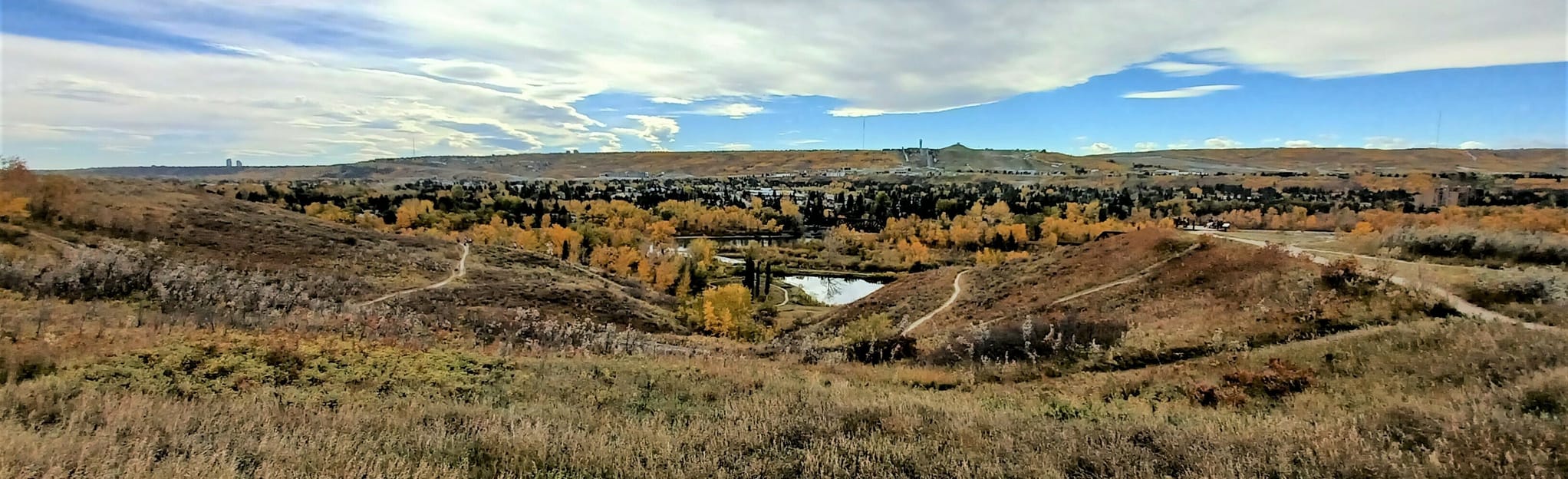 Bowmont Park Viewpoint Loop: 280 Fotos - Alberta, Kanada | AllTrails