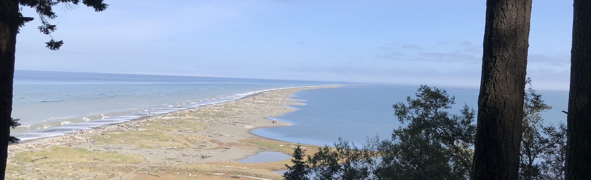 Primitive Trail Loop, Washington - 529 Reviews, Map | AllTrails