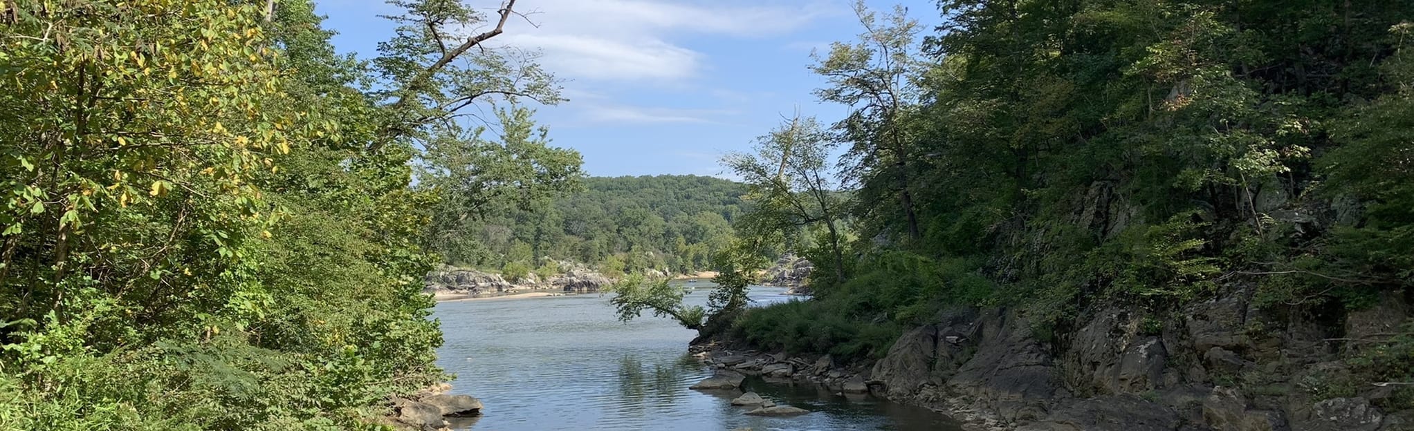 Ridge Trail via Difficult Run Trailhead: 125 Reviews, Map - Virginia ...